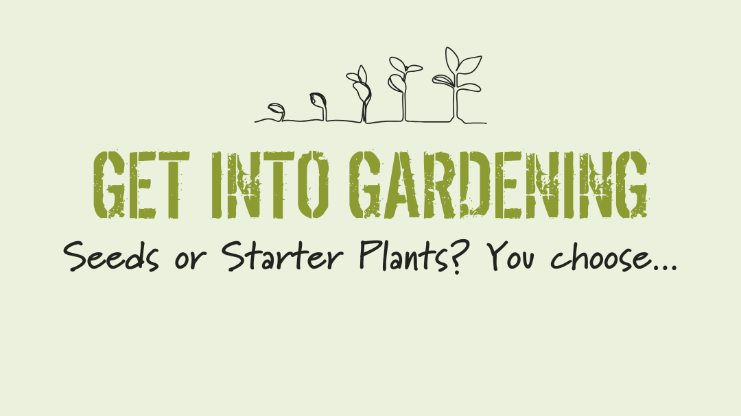 Get Your Hands Dirty and Spring into Gardening! - Haskins Garden Centres