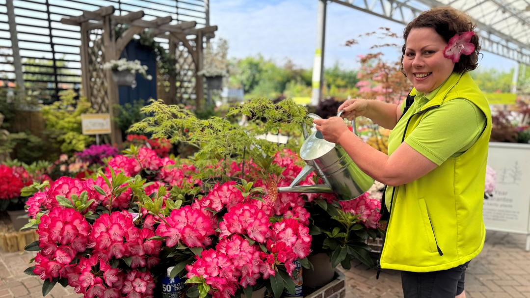 Rachel's 10 water-saving tips for your garden - Haskins Garden Centres